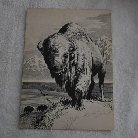 Lee J. Ames | Art | American Buffalo Bison 95s Wildlife Book ...